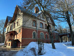 Особняк графа В.В Гудовича (Parkovaya Street No:18), turistik yerler  Puşkin'den