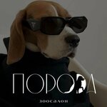 Порода (Suburban highway No:36/3), evcil hayvan kuaförleri  Orenburg'dan