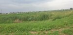Esberry daka (Lusaka, Garden), ar-ge şirketleri  Lusaka'dan