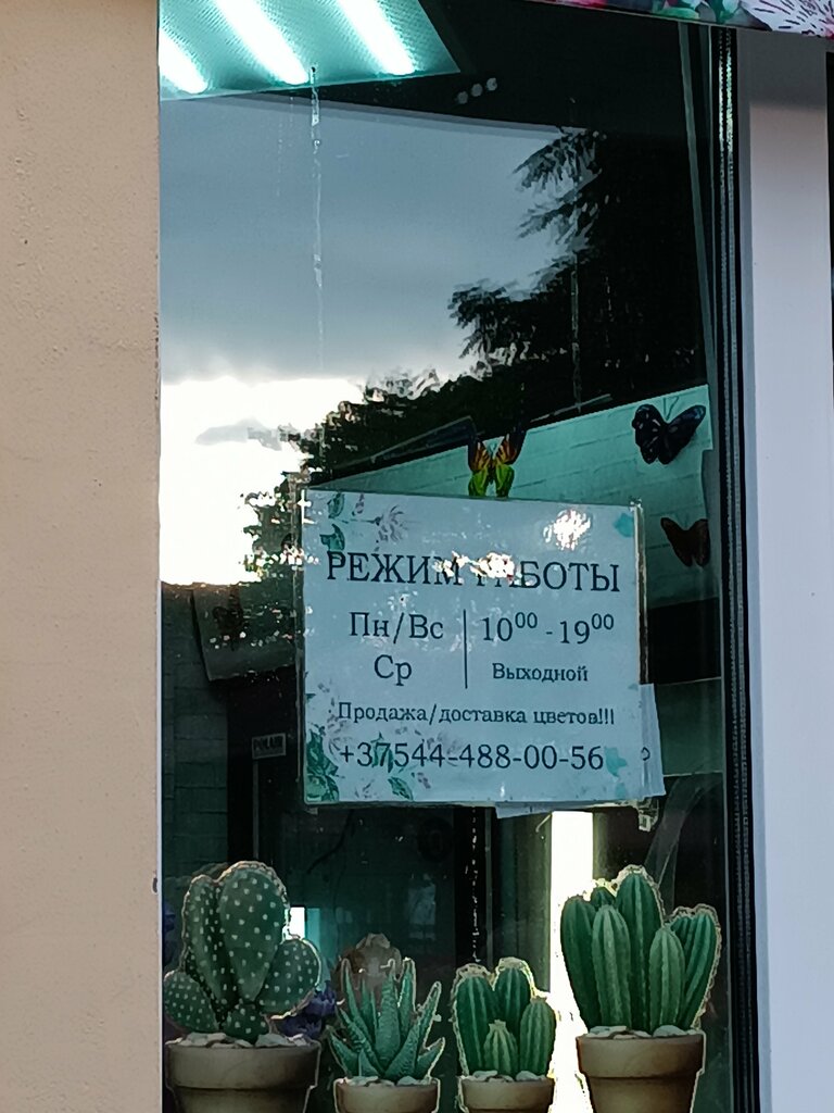 Çiçekçiler Цветы, Grodnenskaya oblastı, foto