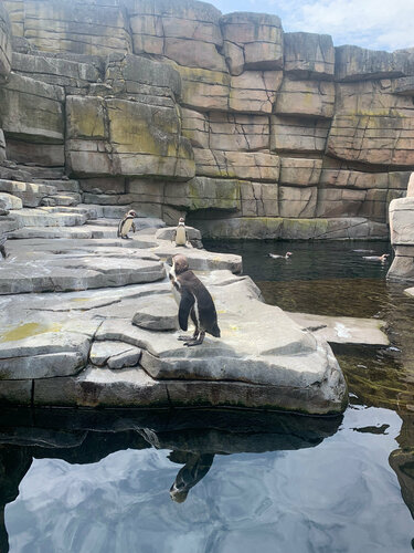 Hagenbeck Zoo, zoo, Free and Hanseatic City of Hamburg, Hamburg ...