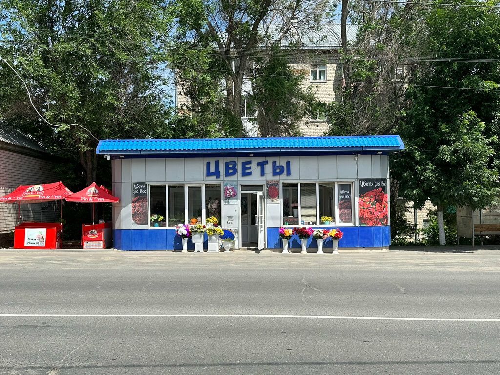 Çiçek teslimatı Tsvety vsego mira!, Volsk, foto