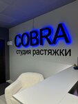 Cobra (Goroda Volos Street No:6), fitness kulüpleri  Rostov‑na‑Donu'dan