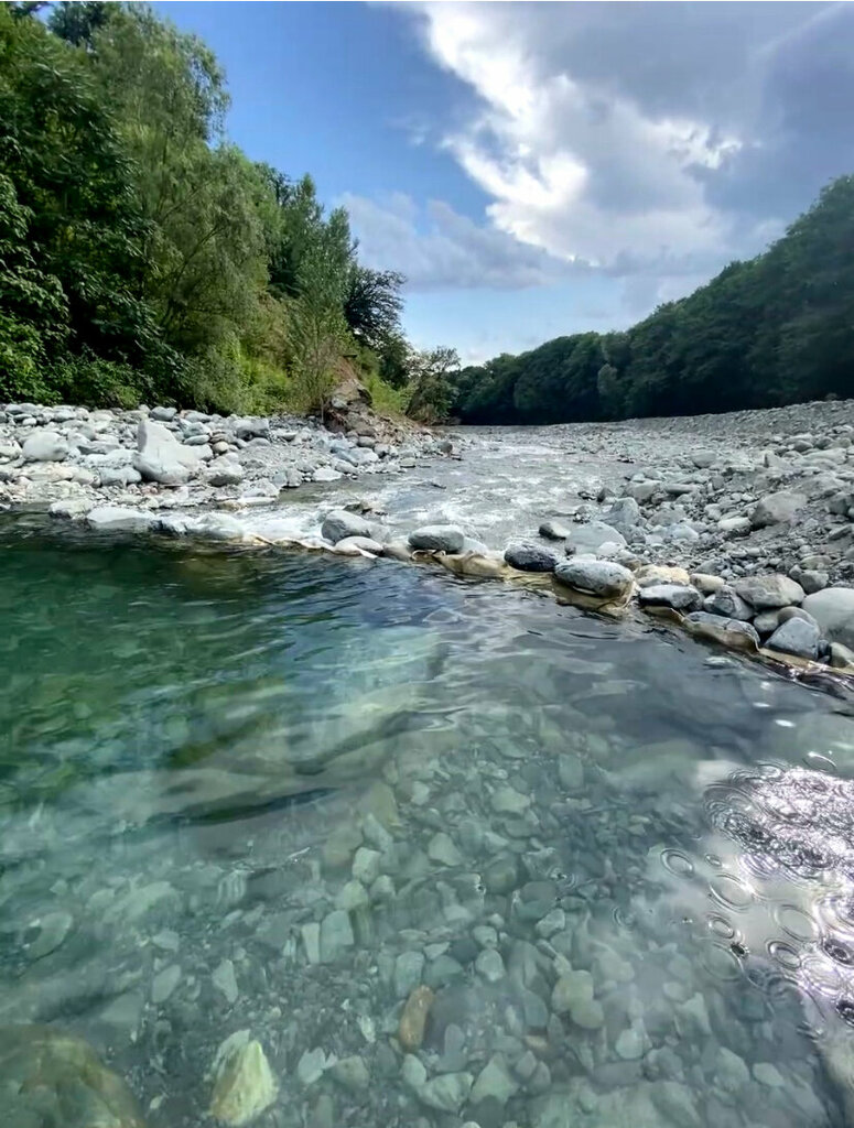 Kültür ve eğlence parkları Lagodekhi Protected Areas, , foto
