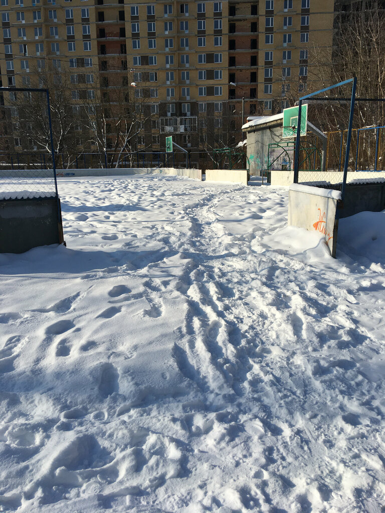 Buz pateni pistleri Ice rink, Moskova ve Moskovskaya oblastı, foto