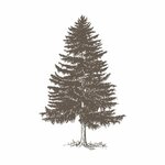 Лесопилка (Khanty-Mansi Autonomous Area, Sovetskiy, territoriya Vostochnaya Promyshlennaya Zona), ahşap endüstrisi  Sovetski'den