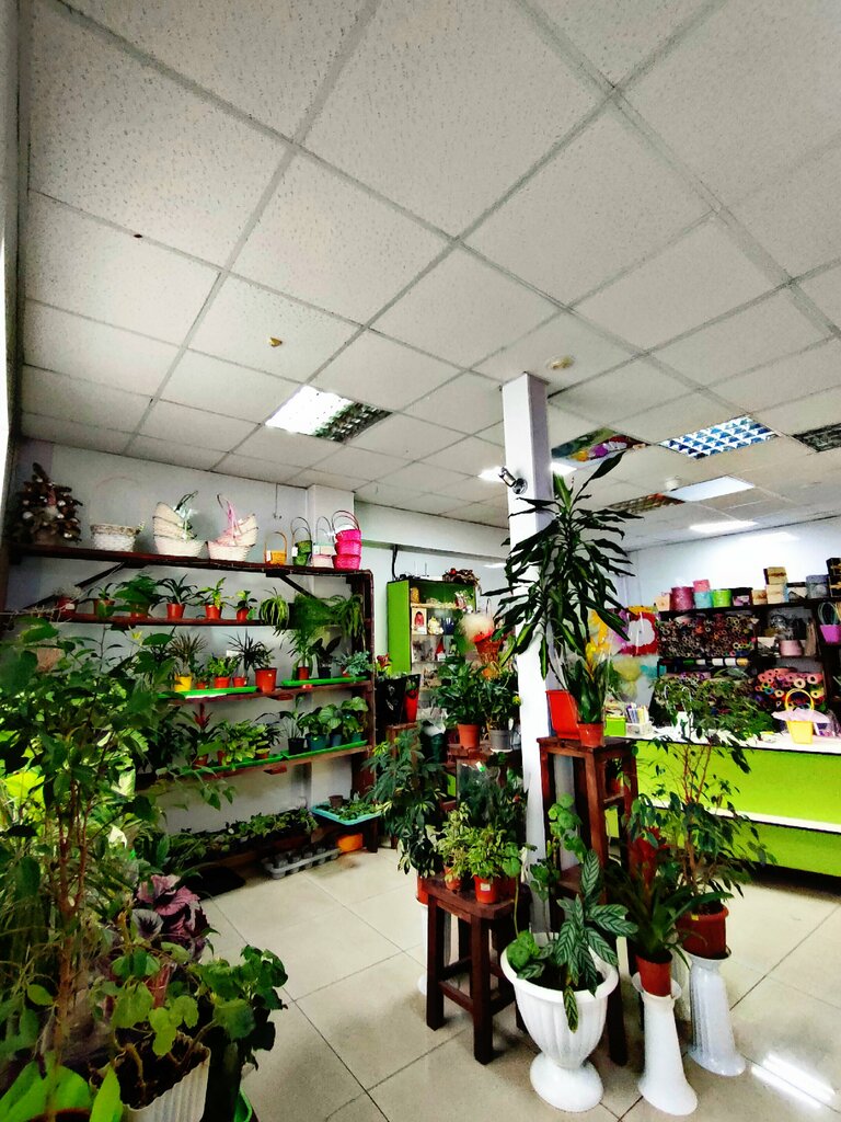 Çiçekçiler Цветочный бульвар, Kurskaya oblastı, foto