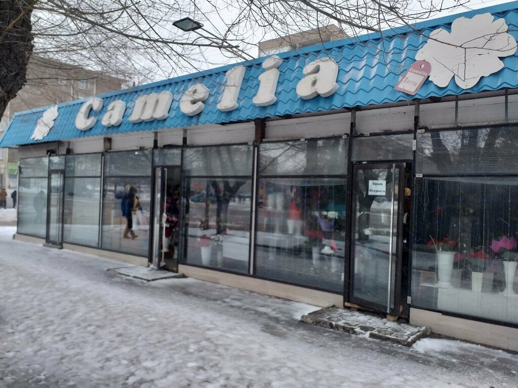 Çiçekçiler Camelia, Temirtav, foto