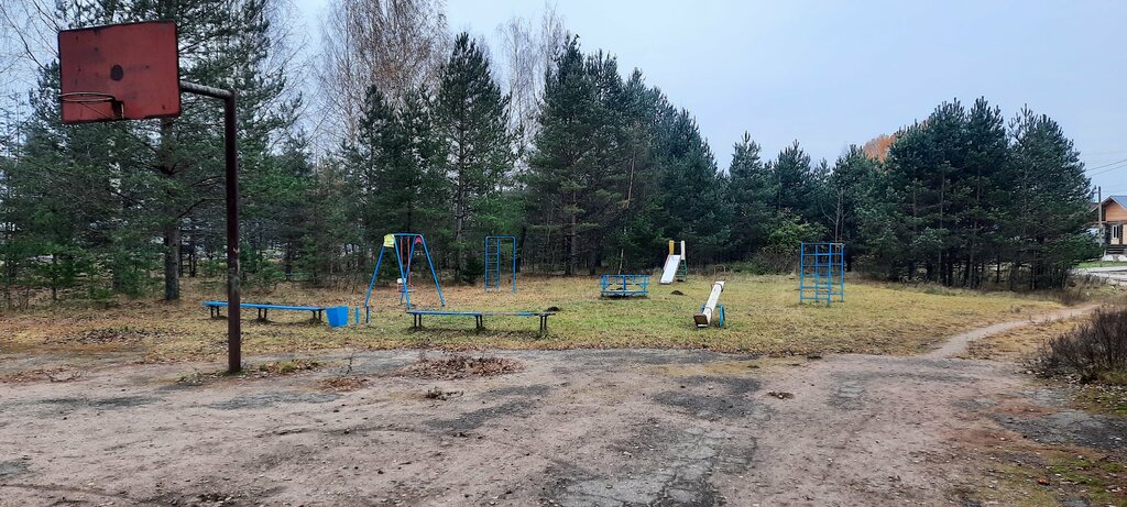 Oyun alanı Playground, Novgorodskaya oblastı, foto