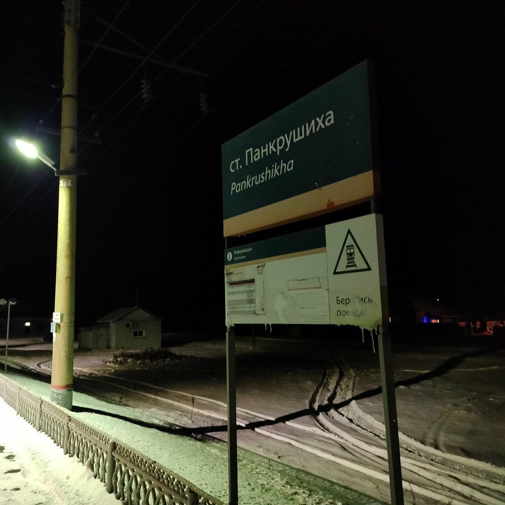 Tren istasyonu станция Панкрушиха, Altayski krayı, foto