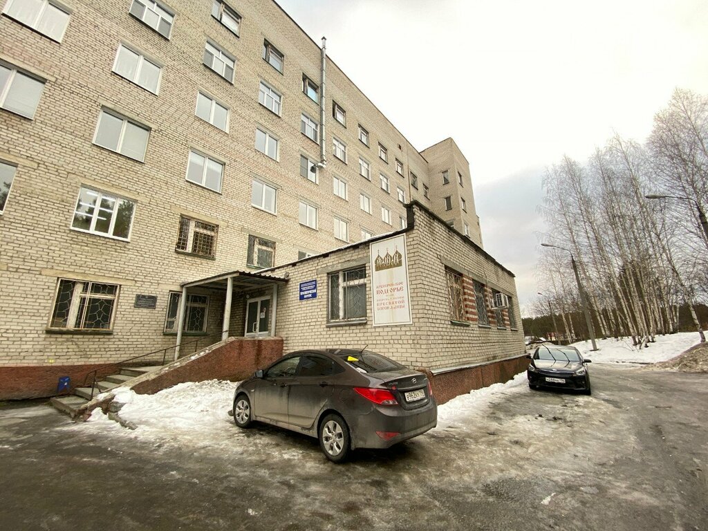 Psikologlar Церковная помощь наркозависимым, Pervouralsk, foto