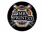 Mr. print33 (ulitsa Bobkova No:3А), matbaalar  Vladimir'den