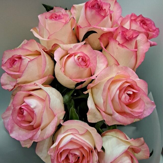 Market Gallery flowers, Taşkent, foto