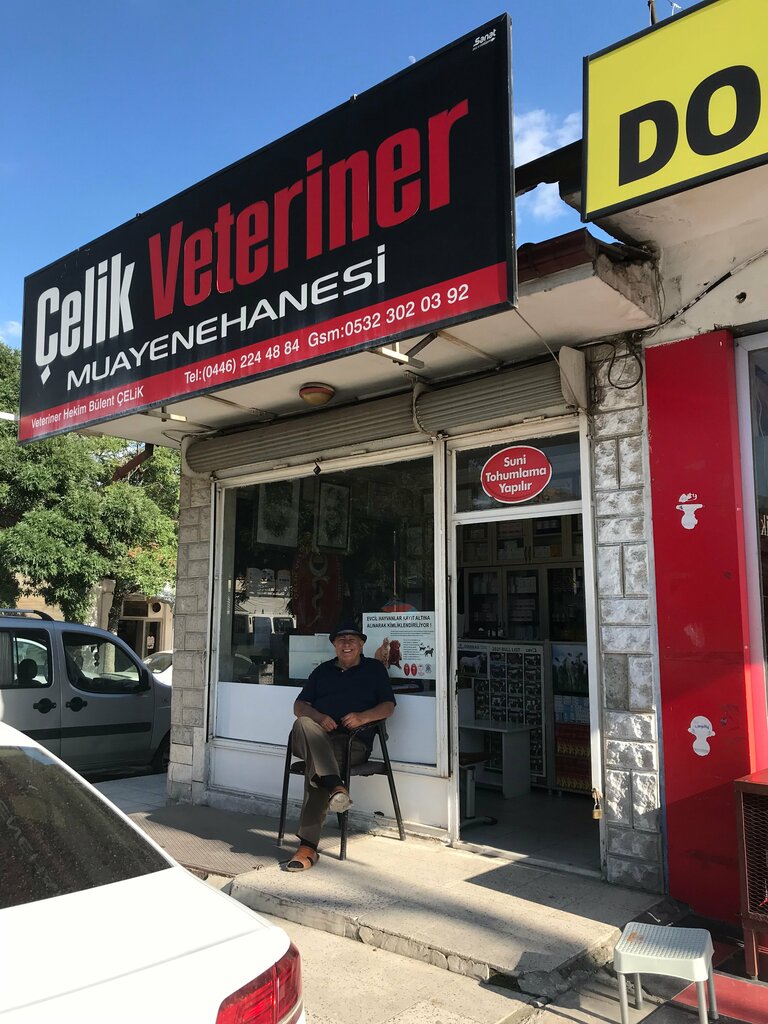 Veteriner klinikleri Çelik Veteriner Kliniği, Erzincan, foto