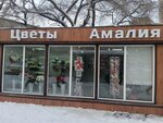 Амалия (Voronova Street No:12/3, mikrorayon Zelyonaya Roshcha), çiçekçiler  Krasnoyarsk'tan