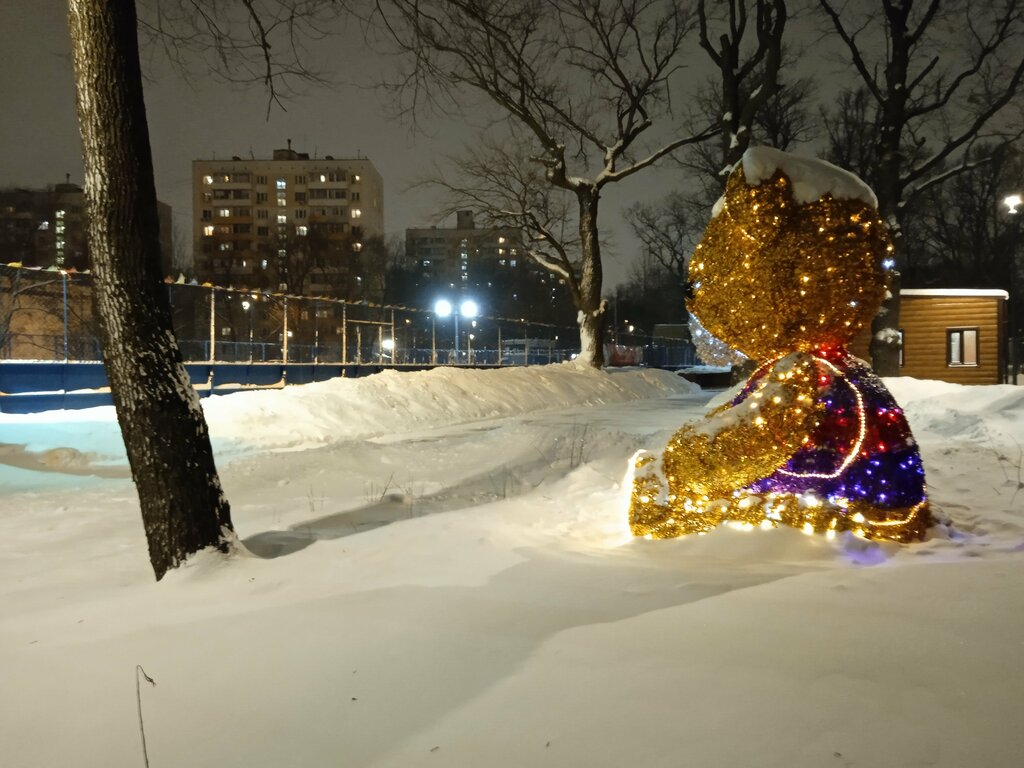 Buz pateni pistleri Ice rink, Moskova, foto