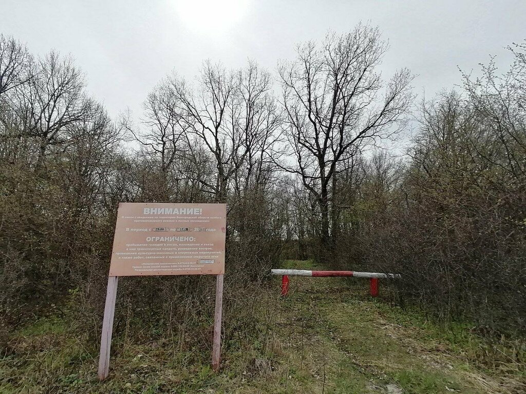 Doğa koruma alanı государственный природный заказник Урочище Рыково, Belgorodskaya oblastı, foto