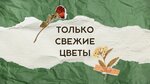 Vetochka (Okruzhnaya ulitsa No:17), çiçekçiler  Korsakov'dan