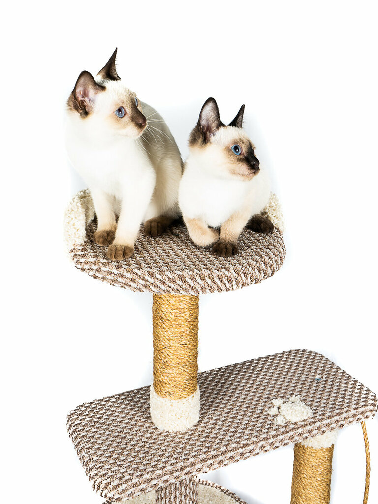 Balıkçılık ekipman firmaları FindFish, Mytişçi, foto