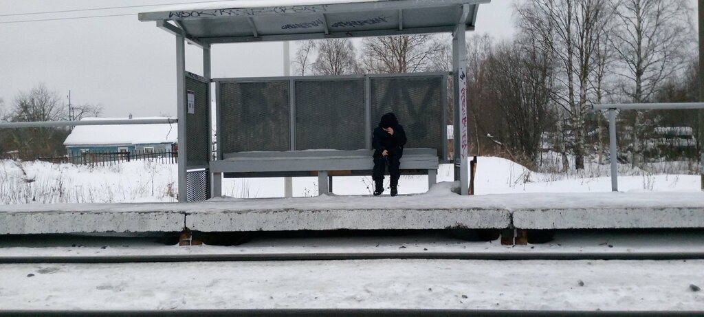 Tren istasyonu 1113 км, Arhangelskaya oblastı, foto