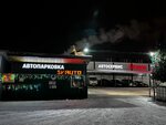 SV-auto (Aviatorov Baltiki Avenue No:19Г), otomobil servisi