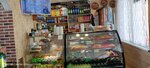 Чайхона (No:150А, Pokrov Village), kafe  Moskova ve Moskovskaya oblastından
