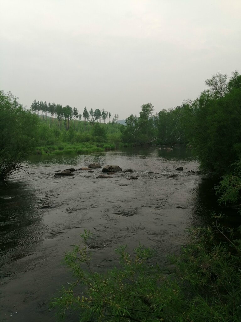 Yaz kampı Спутник, Zabaykalski krayı, foto