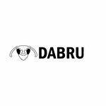 Dabru (Troitskiy Trakt No:62Д), kazan ve kazan ekipmanları  Çeliabinsk'ten