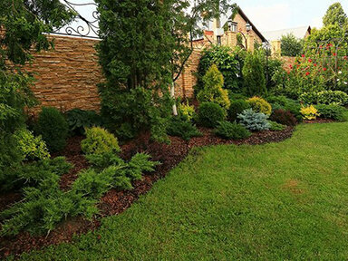 Yakıt firmaları Kladovaya-dachnika, Moskova ve Moskovskaya oblastı, foto