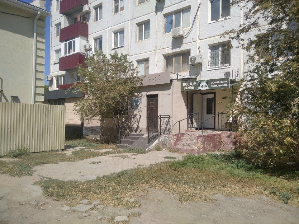 Veteriner klinikleri Doctor Panda, Atırav, foto