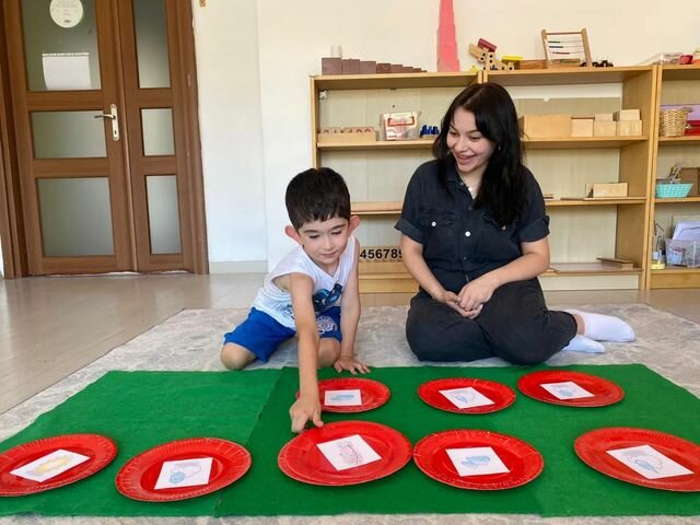 Anaokulları Deha Montessori Anaokulu Hacılarmeydanı Şubesi, Amasya, foto