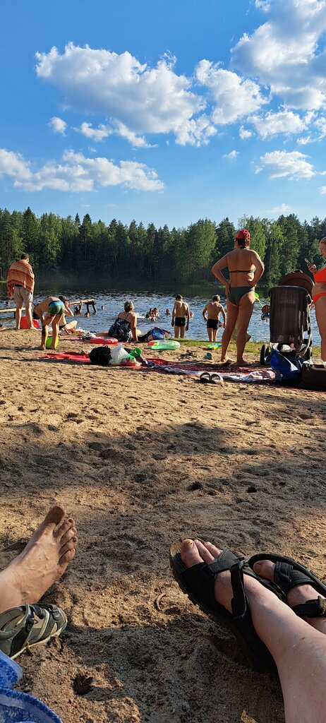Bahçecilik dernekleri ve kuruluşları Snt Sampo, Saint‑Petersburg ve Leningradskaya oblastı, foto