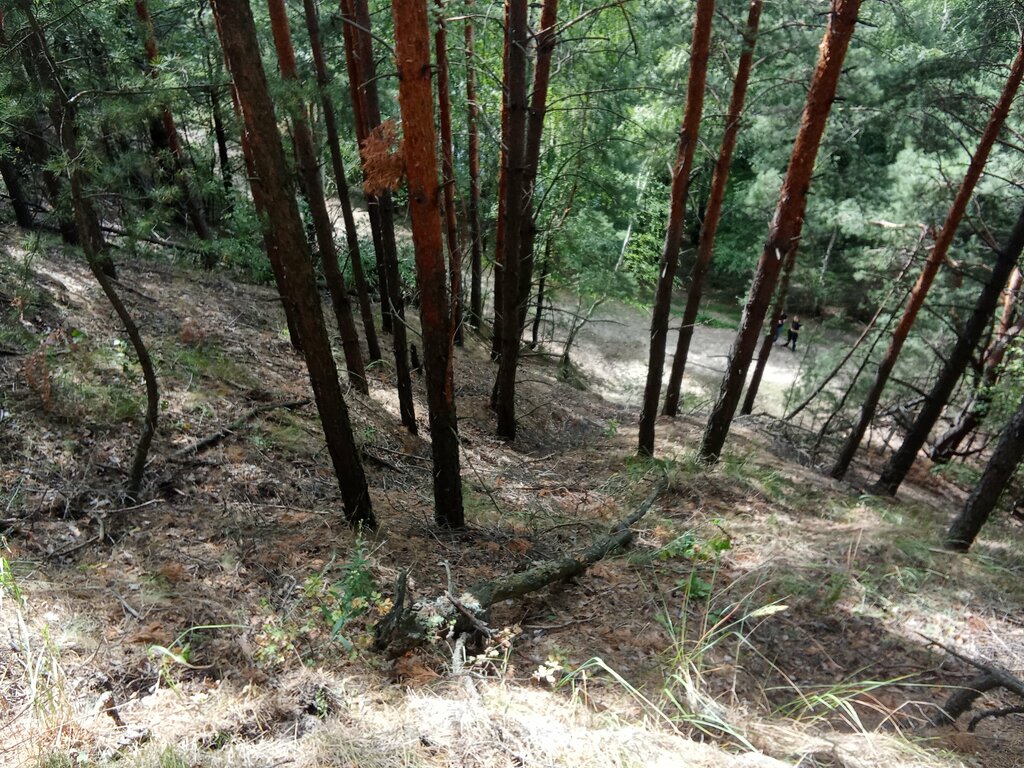 Turistik yerler Достопримечательность, Tambovskaya oblastı, foto