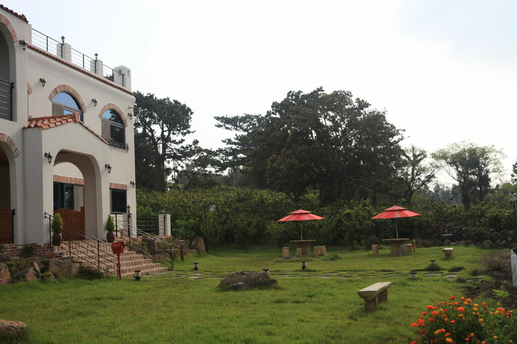 Otel Nomad Pension in Jeju, Seogwipo, foto