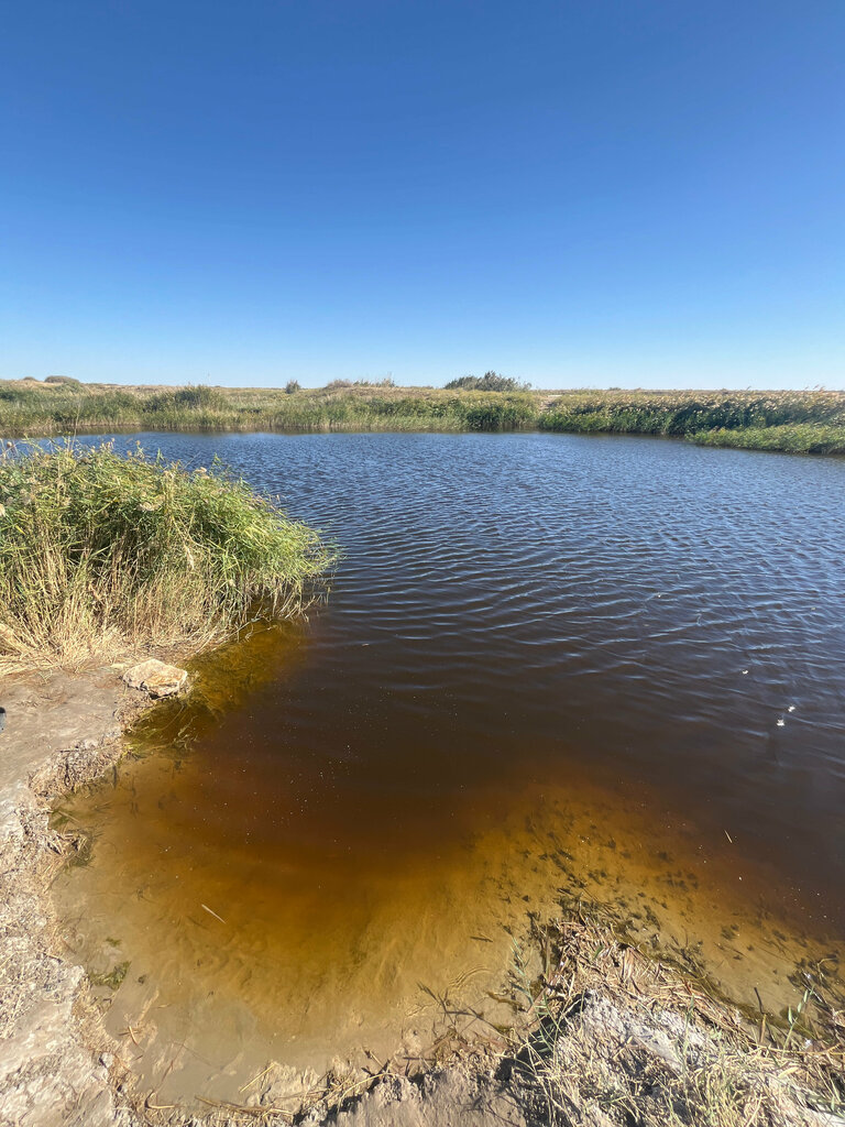 Çardak Gazebo, Volgogradskaya oblastı, foto