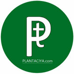 Plantaciya (Tsentralnaya ulitsa No:4, derevnya Kalinino), sera ve bahçe ürünleri  Tataristan'dan