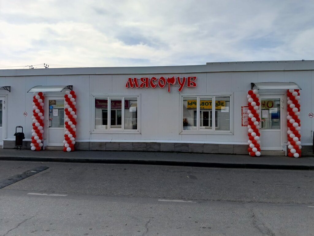Kasap, şarküteri Мясоруб, Kaşira, foto