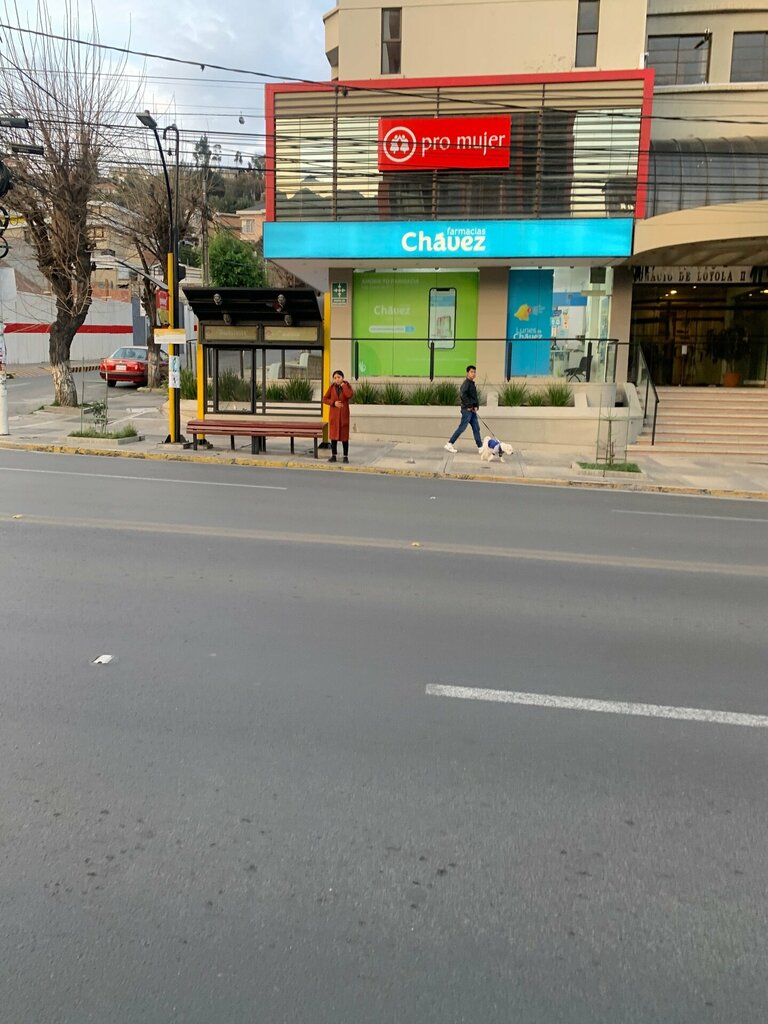 Eczaneler In Front of Chavez Pharmacies, La Paz, foto