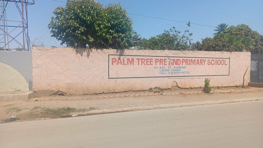 i̇lkokul Palm Tree, Lusaka, foto