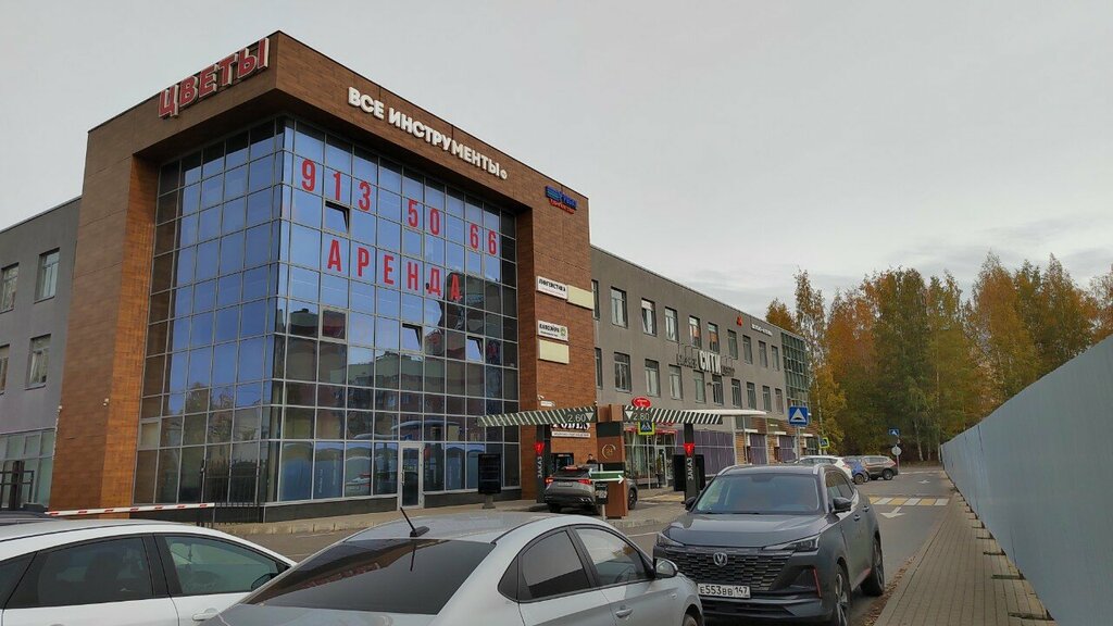 Elektrik ve benzinle çalışan aletler Vseinstrumenti.ru, Vsevolgsk, foto