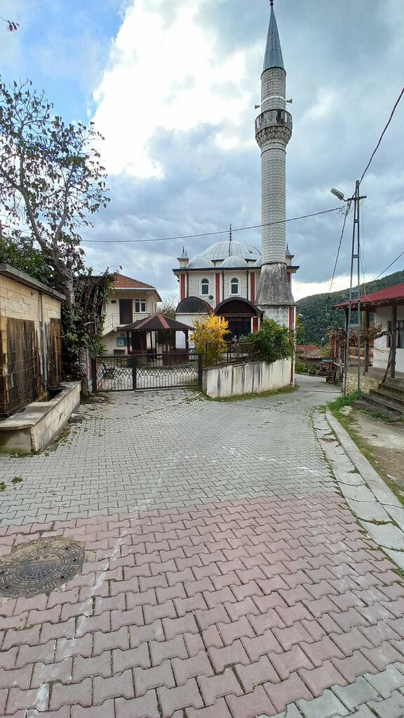 Cami Gökmaslı Mahallesi Cami, Şile, foto