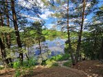 Сосновка (Bryansk Region, Zhukovskiy munitsipalny okrug), resort oteller, tesisler  Brianskaya oblastından