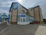 The School of Higher Sports Skills (Abaı kóshesi No:116У), spor okulları  Kökşetav'dan