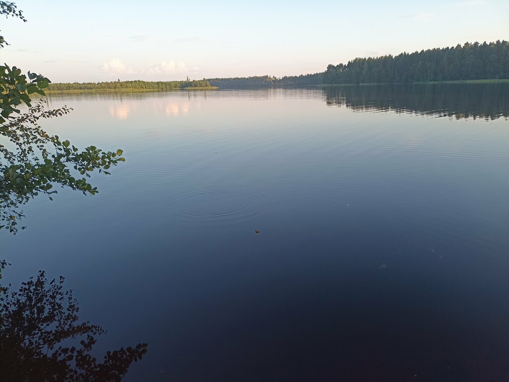 Plaj Пляж озера Поныхарь, İvanovskaya oblastı, foto