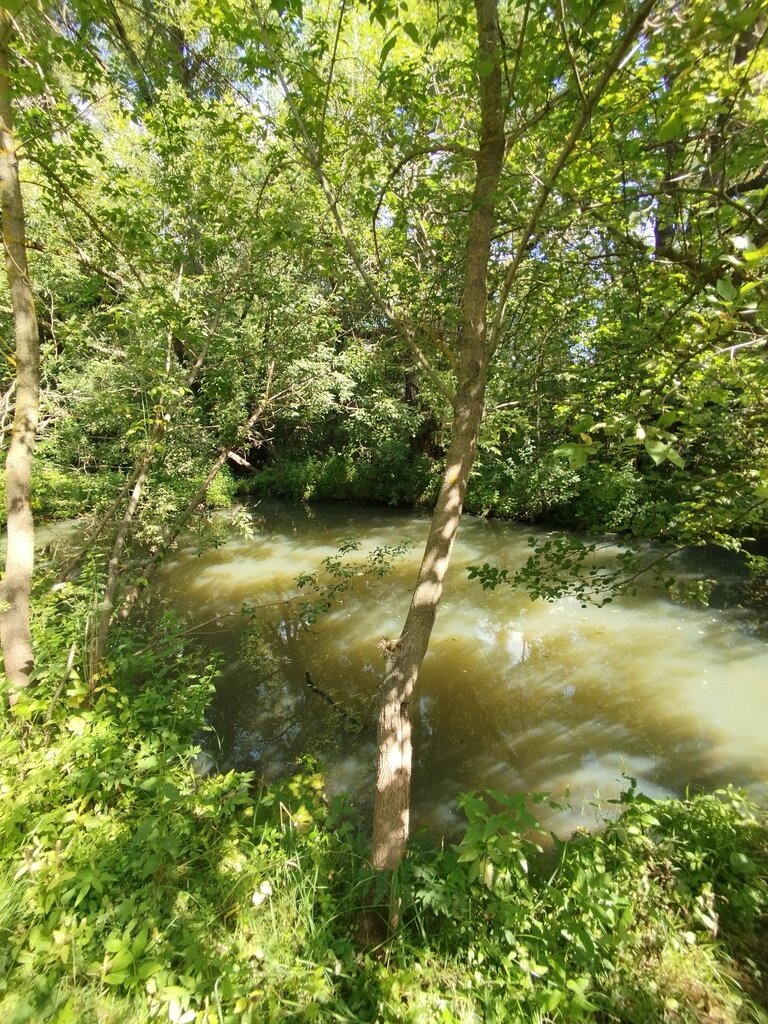 Mühendislik altyapısı Водонапорная башня, Riazanskaya oblastı, foto