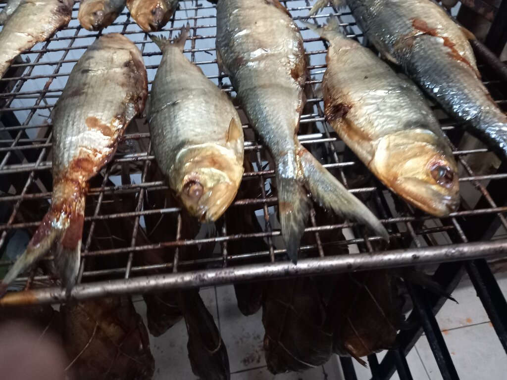 Balık ve deniz ürünleri Экофиш, Kaliningradskaya oblastı, foto