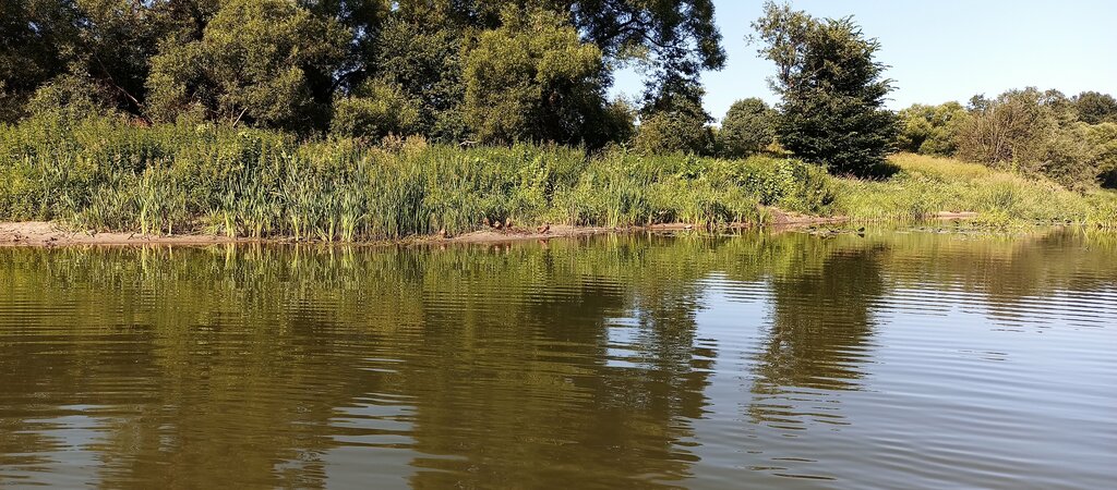 Limanlar Лодочная станция, Naro‑Fominsk, foto