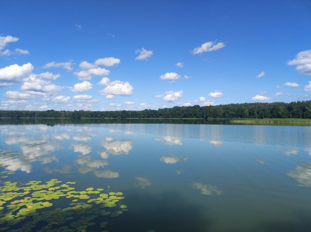 Doğa Экологический маршрут Поозерье без барьеров, Smolenskaya oblastı, foto