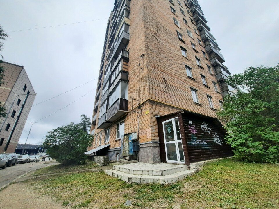 Dövmeciler Meduza, Petrozavodsk, foto