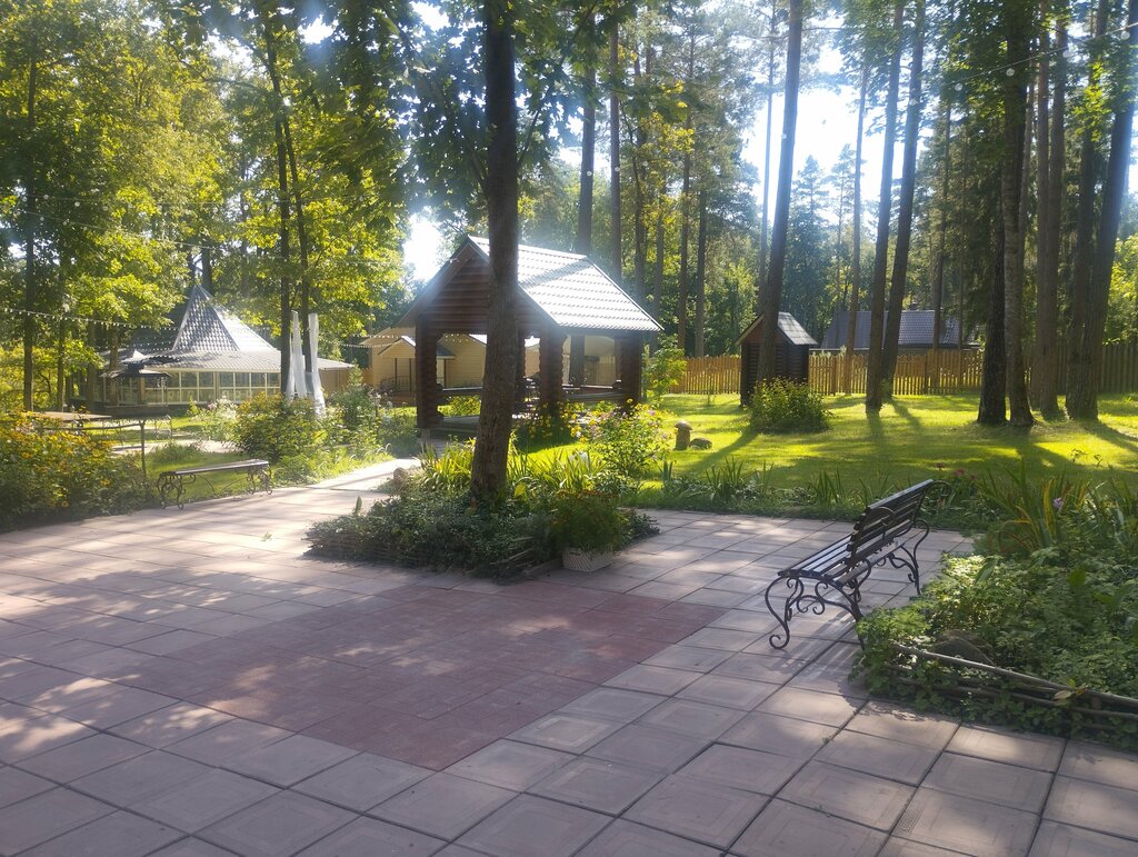 Resort oteller, tesisler Яковлевское, Brianskaya oblastı, foto
